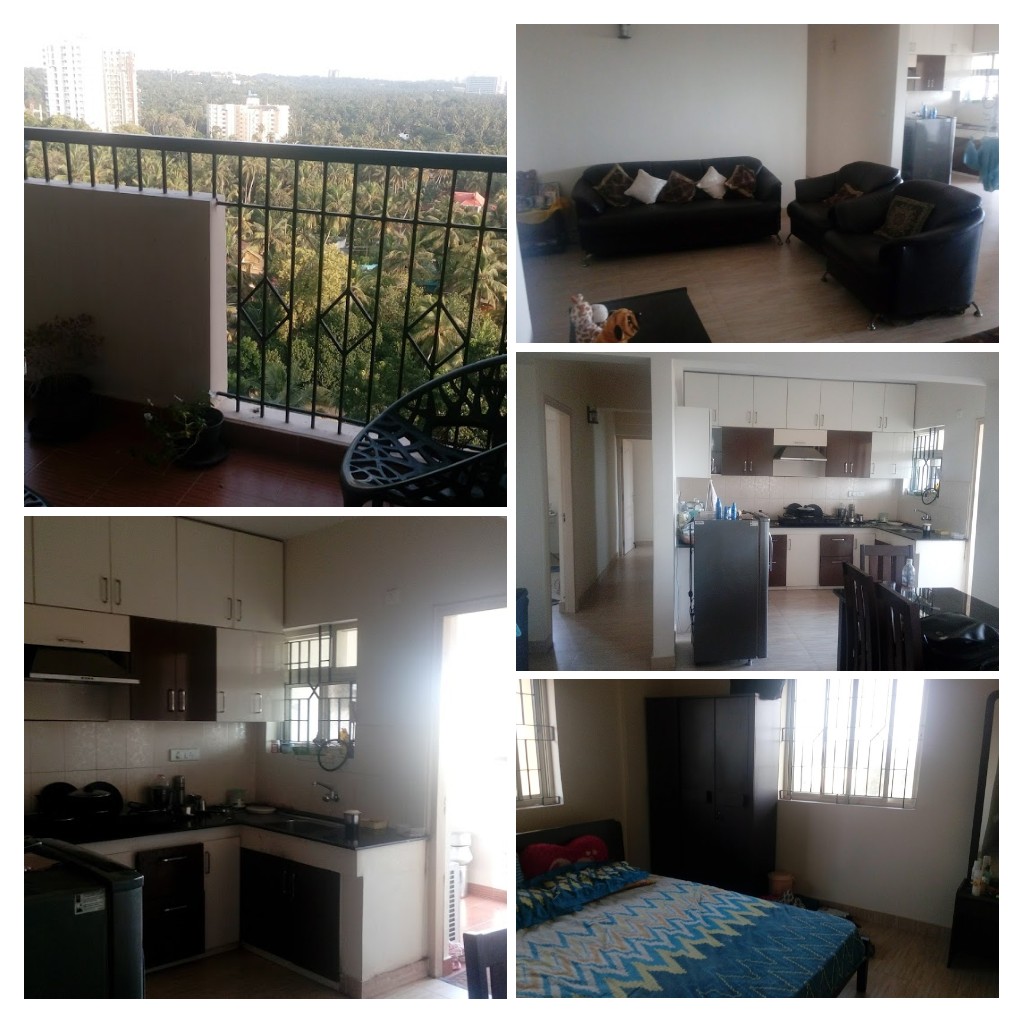 3BHK Fully Furnished Apartment For Rent In Oceanus Rainbow ...